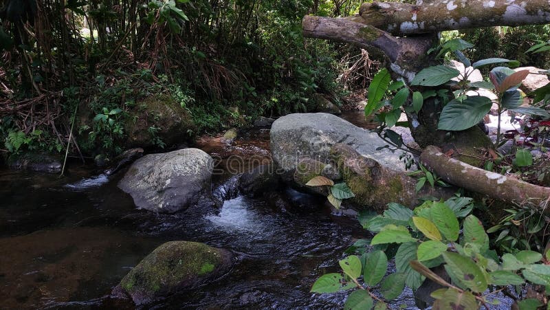 Beautiful Nature and Cold Water Rivers Stock Photo - Image of cold ...