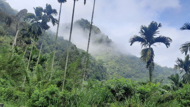 Beautiful Nature and Beautiful Day , Green Environment Stock Image ...