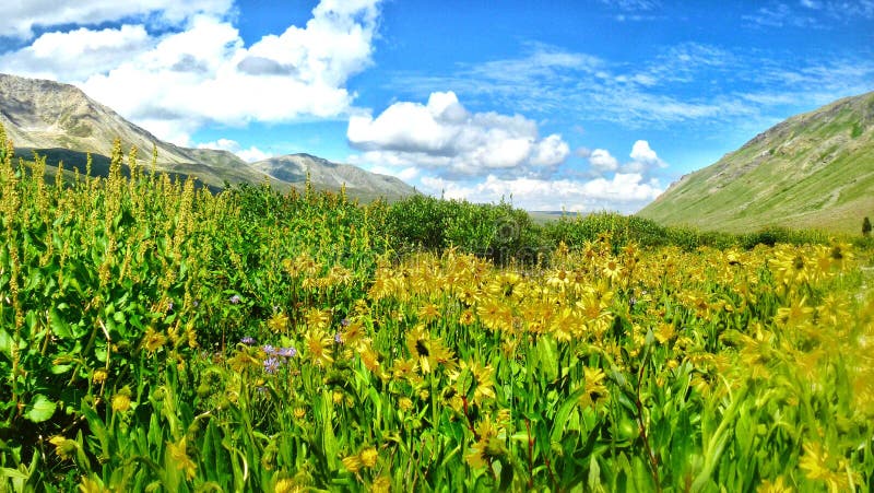 Beautiful of Nature Deosaei Stock Photo - Image of gilgit, baltistan ...