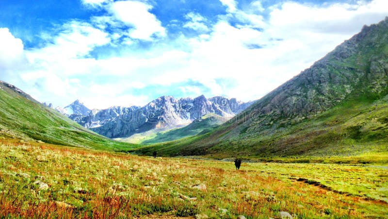 Beautiful of Nature Deosaei Gilgit Baltistan Stock Image - Image of ...