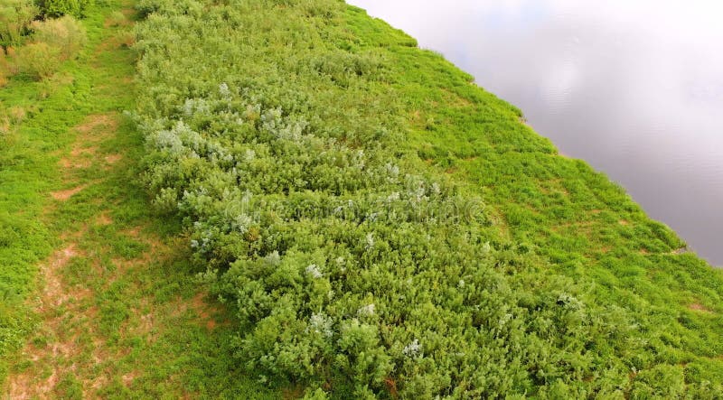 Beautiful Nature in Europe. Stock Image - Image of flora, water: 178513587