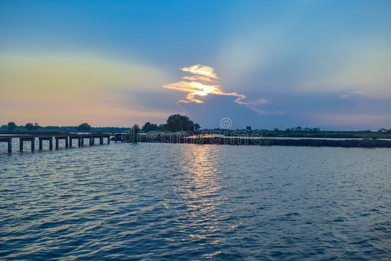 Beans I Can Use Stock Photos - Free & Royalty-Free Stock Photos from ...