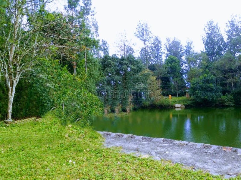 Beautiful Nature Hide the Beauty of Itself Stock Photo - Image of park ...