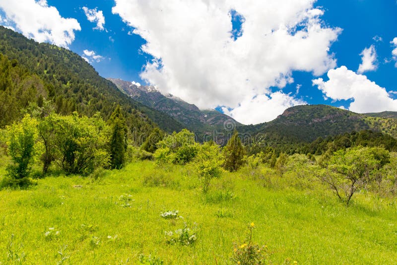 Beautiful Nature in the Himalayas in Spring Stock Photo - Image of ...