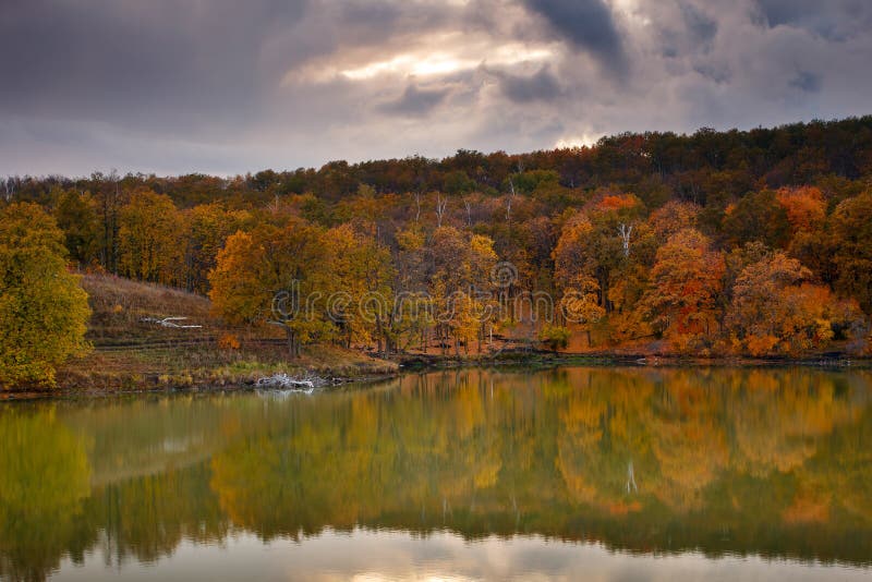 Beautiful Nature Landscape. Autumn Fall Forest Reflected on Lake Stock ...