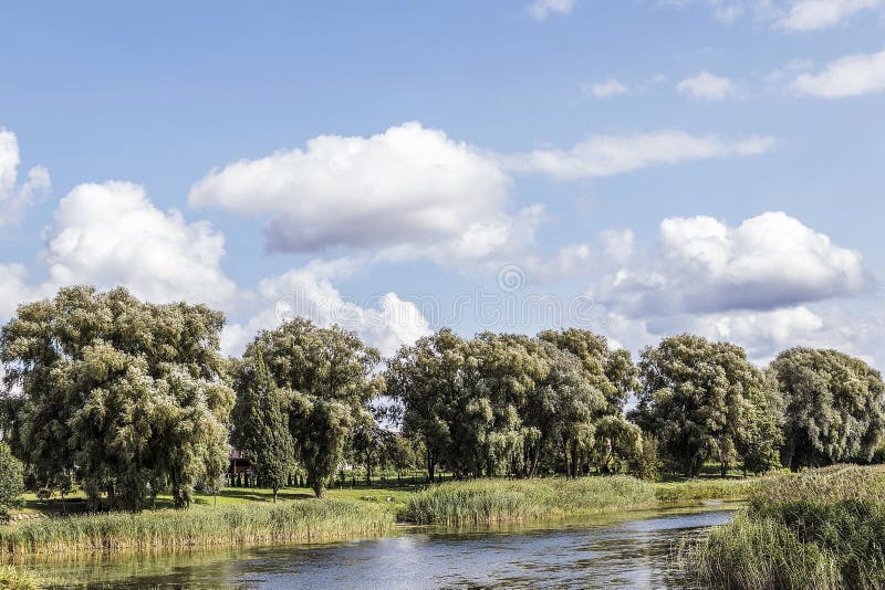 Beautiful nature of Latvia stock photo. Image of pond - 99364848