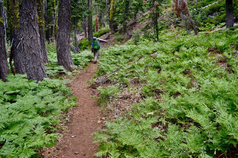 Beautiful Nature of Loch Leven Lakes Trail Stock Image - Image of ...