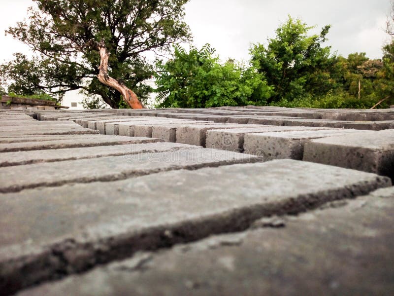 Nature stock photo. Image of beautiful, bricks, shot - 99218922