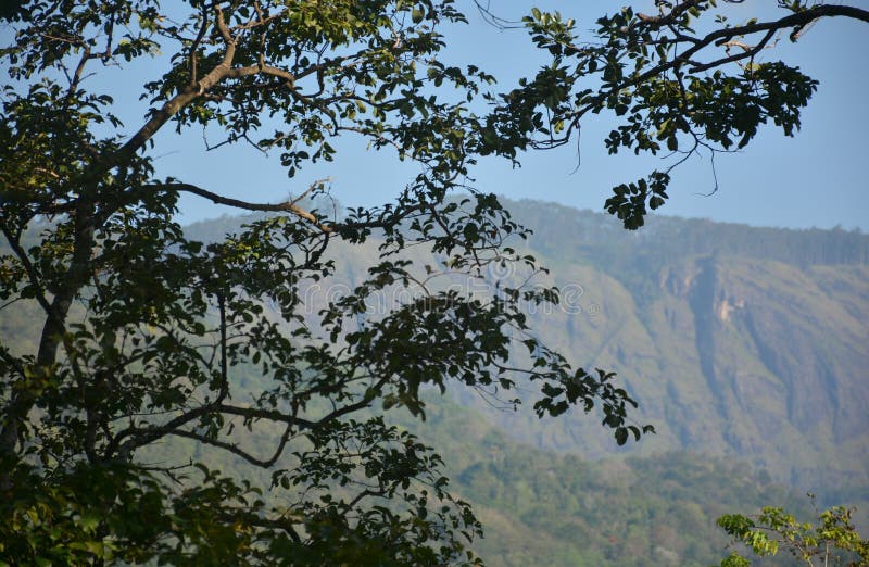 Beautiful Nature with Mountain View in Ella, Sri Lanka Stock Image ...