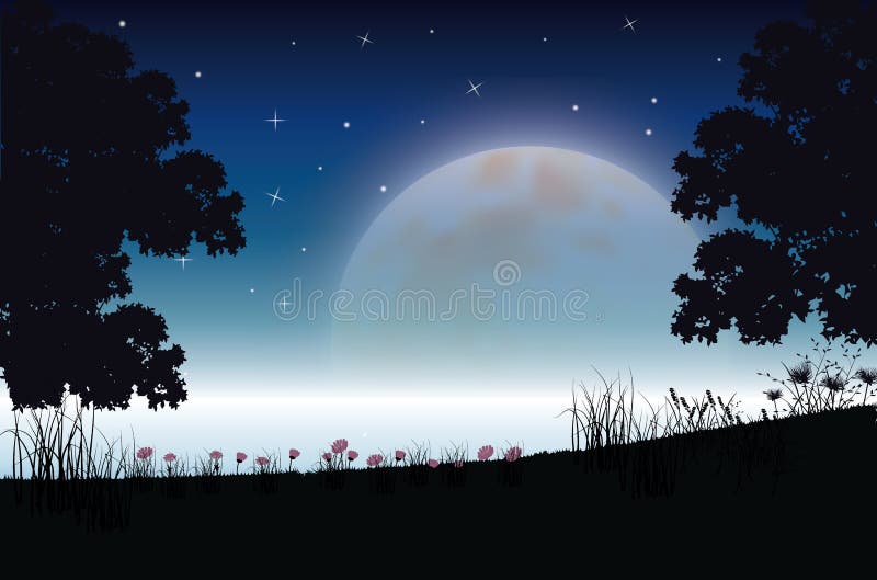 Beautiful Nature at Night, Vector Illustrations Stock Vector ...
