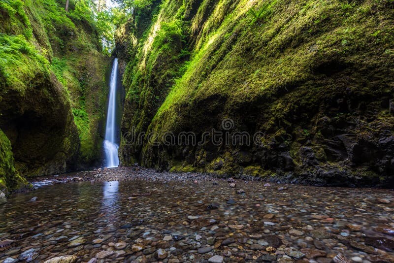 Beautiful Nature in Oneonta Gorge Trail, Oregon. Stock Photo - Image of ...