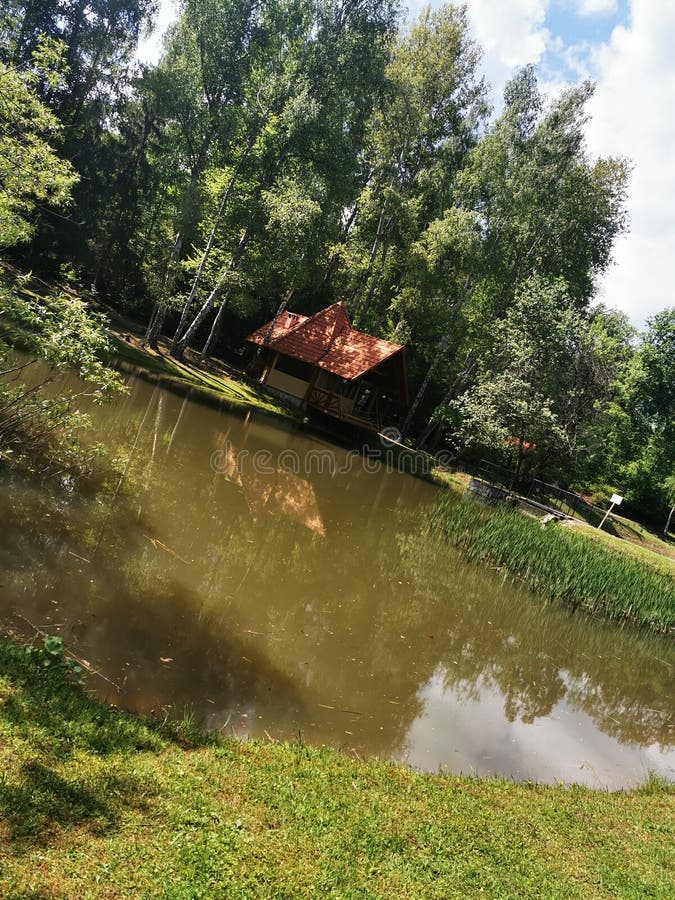 Beautiful nature park stock image. Image of green, reflection - 198243699