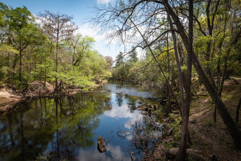 Beautiful Nature Park stock image. Image of native, wildlife - 212523349