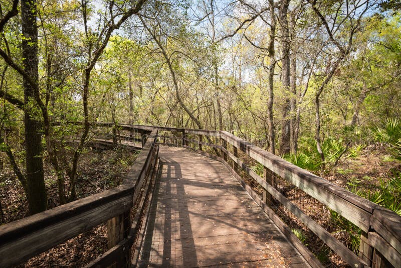 Beautiful Nature Park stock image. Image of real, preserve - 212523523