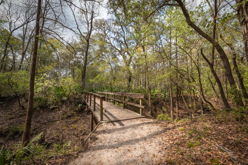 Beautiful Nature Park stock image. Image of real, river - 212523561