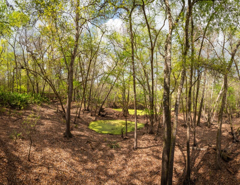 Beautiful Nature Park stock photo. Image of habitat - 212523834