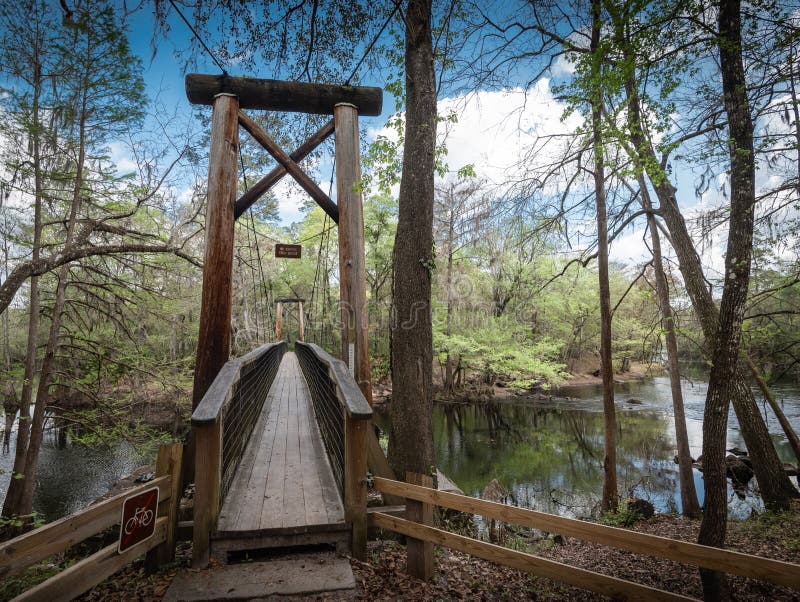 Beautiful Nature Park editorial stock image. Image of woodland - 212524274