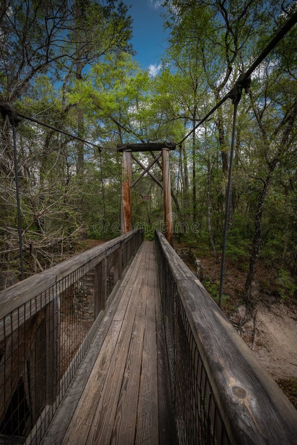 Beautiful Nature Park editorial photography. Image of real - 212524402