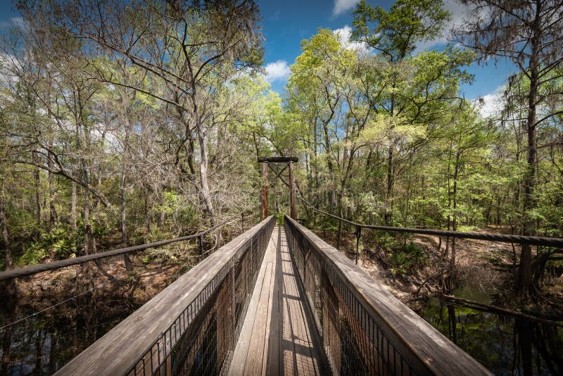 Beautiful Nature Park editorial stock photo. Image of park - 212524458