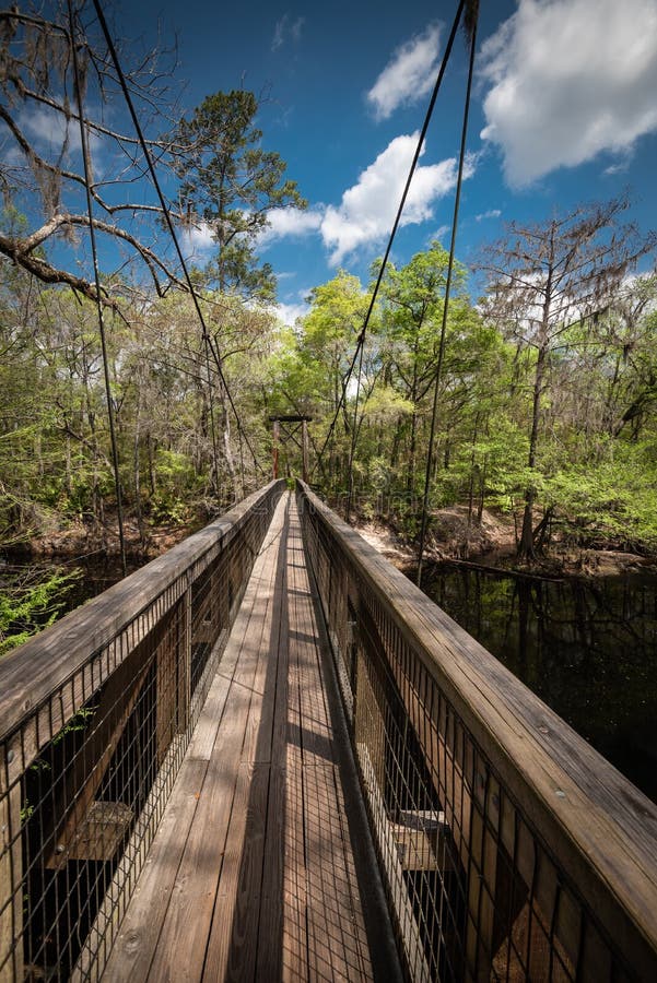 Beautiful Nature Park editorial stock image. Image of protected - 212524489