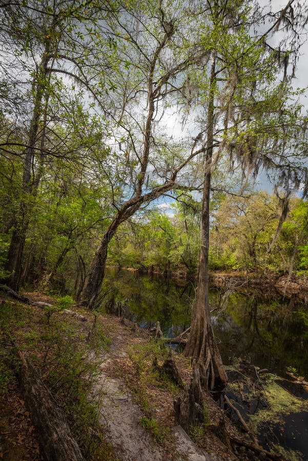 Beautiful Nature Park stock image. Image of wildlife - 212523995