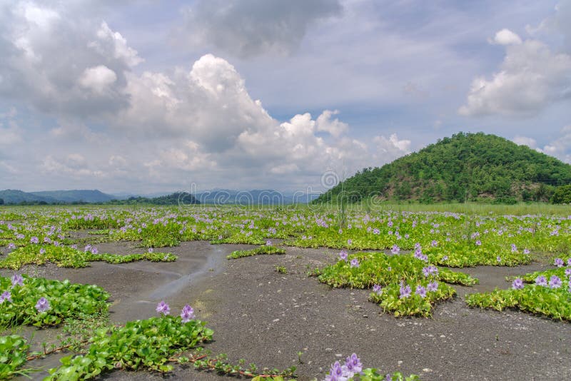 Beautiful Nature at Pinatubo Philippines Stock Photo - Image of summer ...