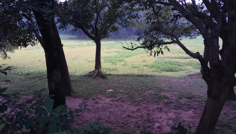 Beautiful Nature stock photo. Image of side, beautiful - 128844886