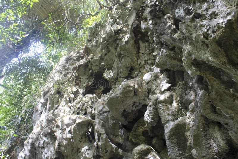Beautiful Nature Rocks Cliff in Tropical Jungle Stock Image - Image of ...