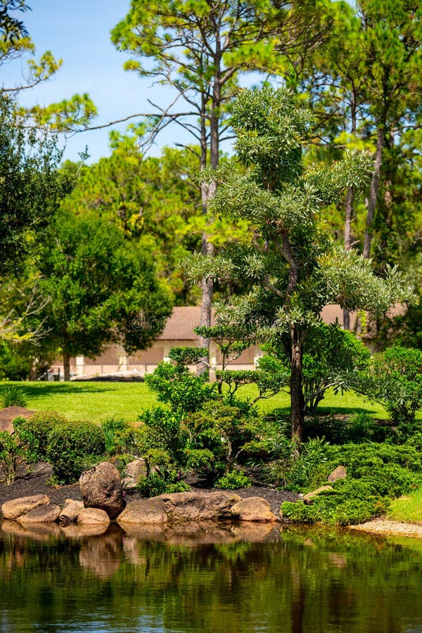 Beautiful Nature Scene Rocks on the Lake Shore Stock Image - Image of ...