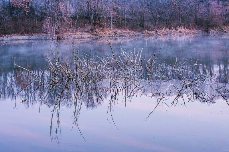 Beautiful nature scenes stock image. Image of ecological - 182156253