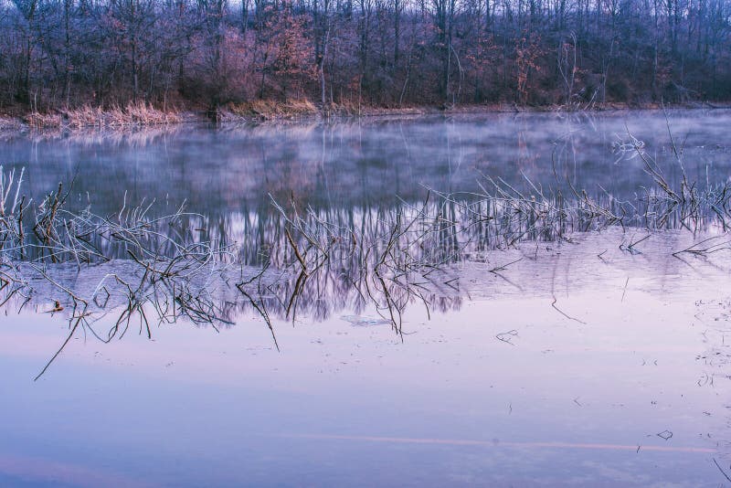 Beautiful nature scenes stock image. Image of park, trees - 182156277