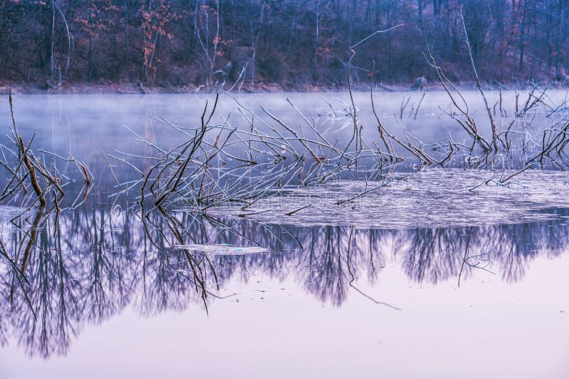 Beautiful nature scenes stock image. Image of january - 182156299