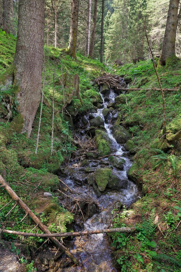 Beautiful Nature and Streams Stock Photo - Image of water, mountain ...