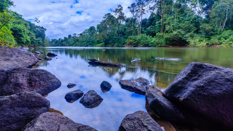 The Beautiful Nature of Surinam Stock Image - Image of amazon, blue ...