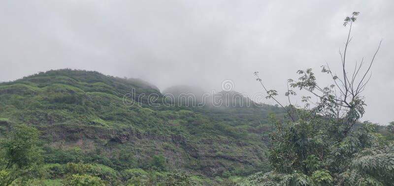 Tamhani Stock Photos - Free & Royalty-Free Stock Photos from Dreamstime