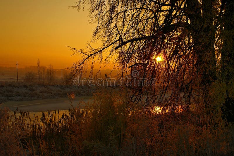 The beautiful nature today stock photo. Image of night - 263390306