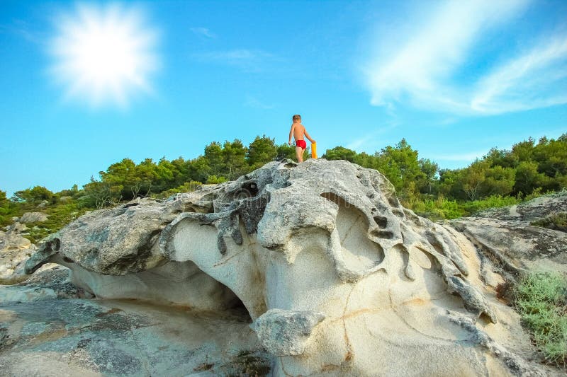 Beautiful Nature Trees and Stones in the Park on the Shore Background ...