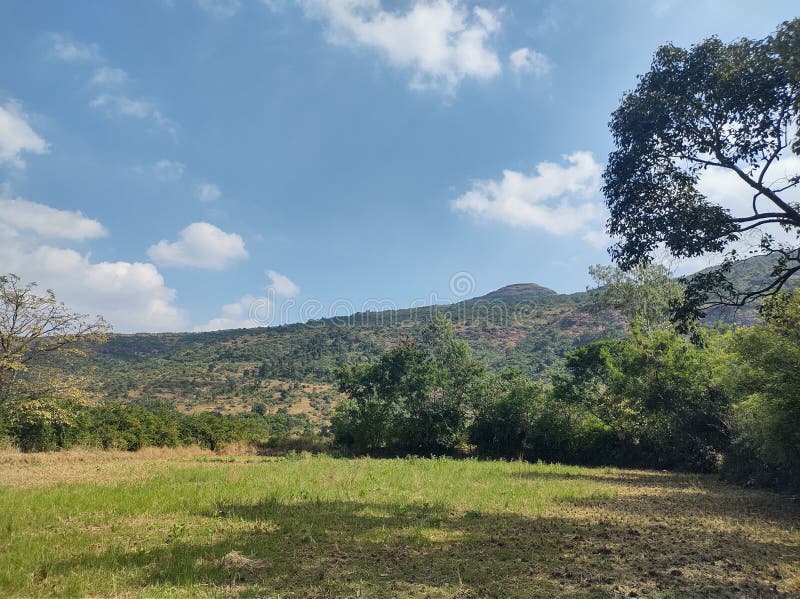 Beautiful nature view stock image. Image of nature, green - 222577173