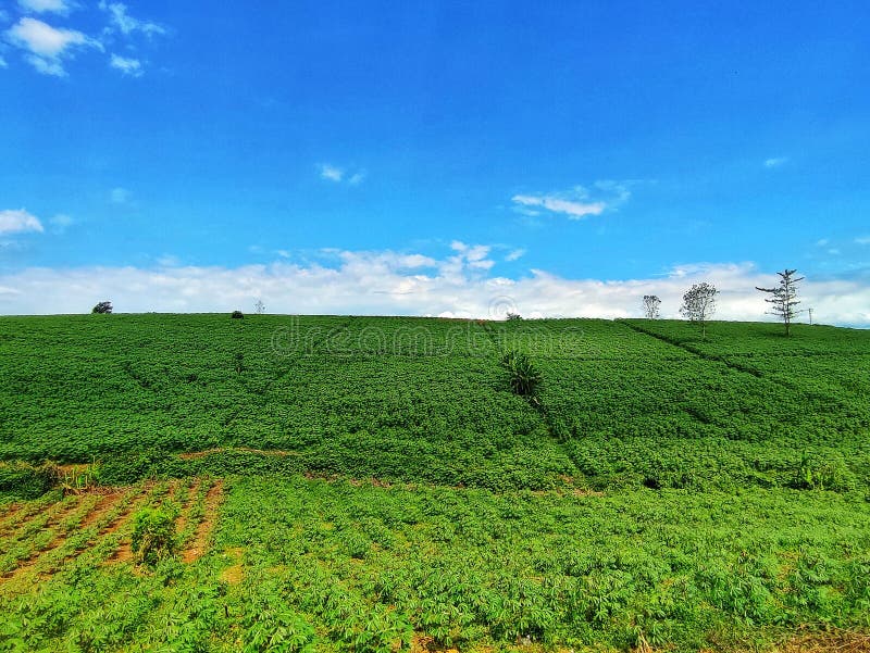 Beautiful Nature View of the Sky and the Field Stock Photo - Image of ...