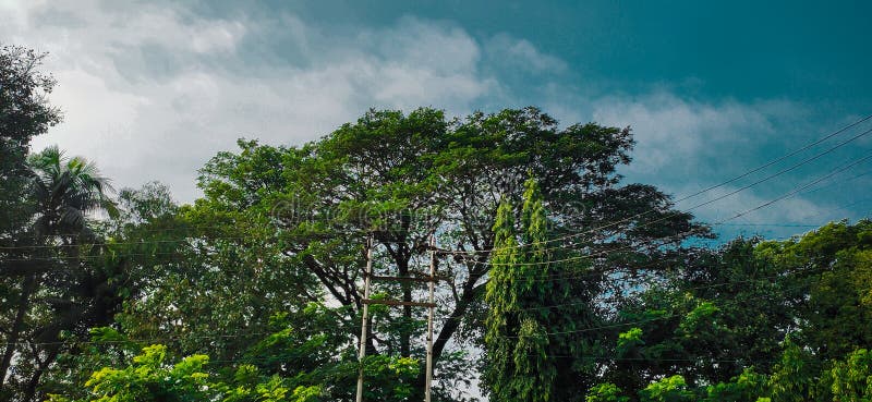 The Beautiful Nature Wallpaper at Guwahati Stock Photo - Image of ...