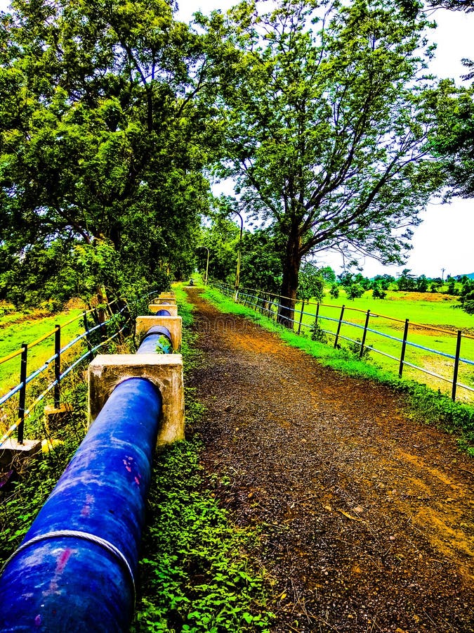 Nature way stock photo. Image of lake, nature, sunset - 110087938