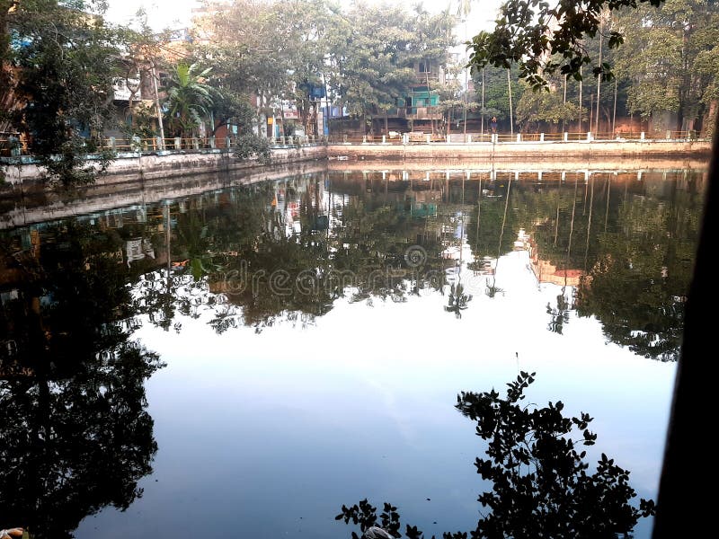 Beautiful necher stock image. Image of beautiful, necherrevers - 266987491