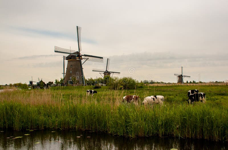 Beautiful Netherlands Landscape Stock Image - Image of landmark ...
