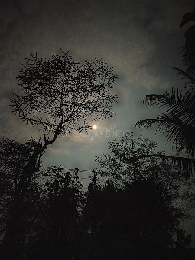 Beautiful Night with a Beautiful Full Moon Stock Photo - Image of ...