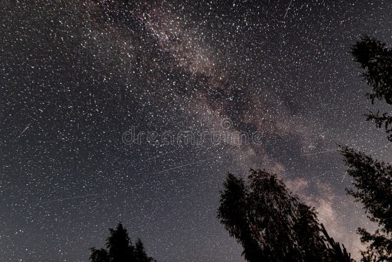 Beautiful Night Landscape with Stars in the Sky, Starry Night ...