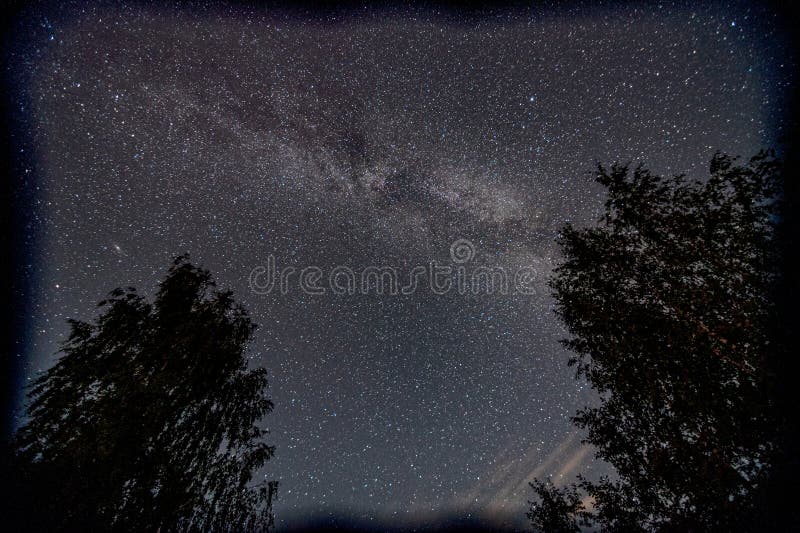 Beautiful Night Landscape with Stars in the Sky, Starry Night ...