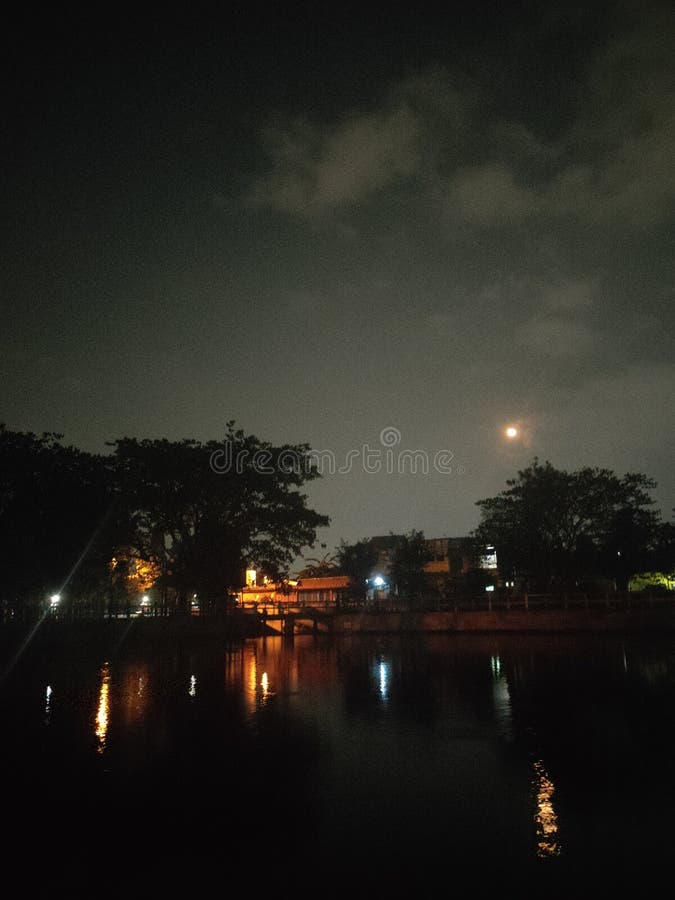 Flashing Lights and Christmas Decorations Vertical Background Stock ...