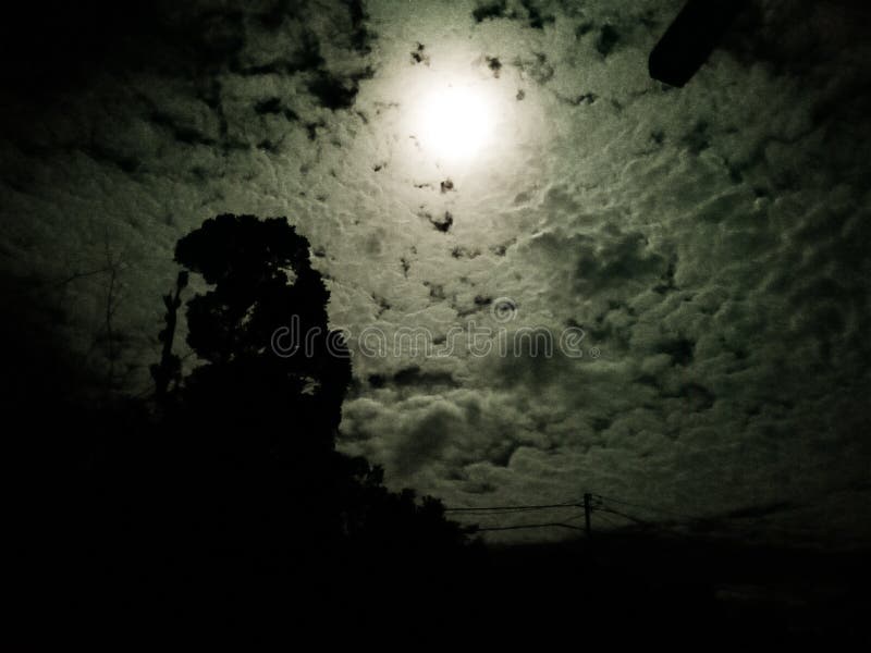 The Beautiful Night Sky on a Clear Day Stock Photo - Image of tree ...