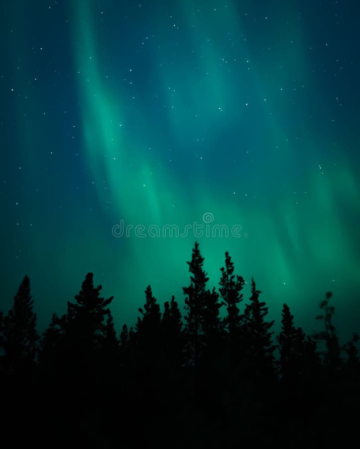 Beautiful Night Sky Filled with a Magical Display of the Aurora ...