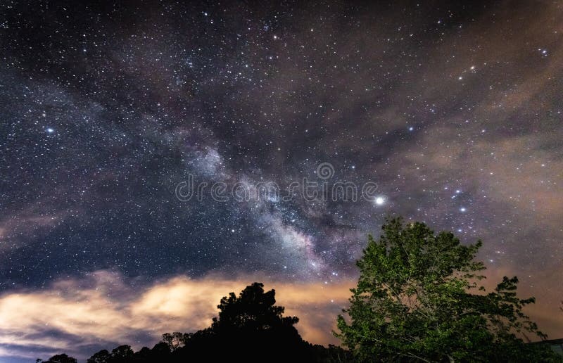 Beautiful Night Sky Full of Shining Stars Over the Trees Stock Image ...
